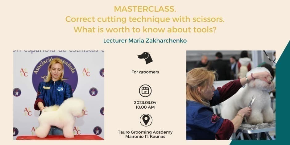 MASTERCLASS. Correct cutting technique with scissors. What is worth to ...